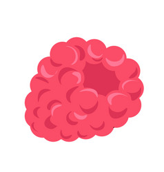 Raspberry berry cartoon Royalty Free Vector Image