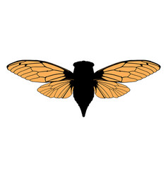 Cicada Royalty Free Vector Image - VectorStock