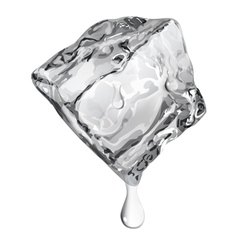 Opaque ice cube Royalty Free Vector Image - VectorStock