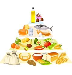 Food pyramid chart Royalty Free Vector Image - VectorStock