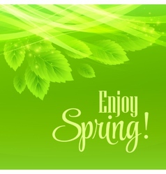 Spring fresh green leaves Royalty Free Vector Image