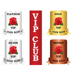Vip package plate Royalty Free Vector Image - VectorStock