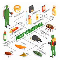 Some orange butterfly Royalty Free Vector Image