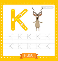 Letter k uppercase tracing practice worksheet Vector Image