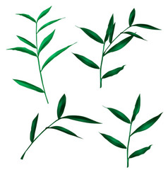 Bamboo leaf set Royalty Free Vector Image - VectorStock