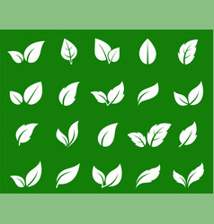 Fresh arugula set isolated on white Royalty Free Vector