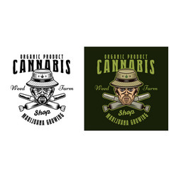 Stoner head in bucket hat and two crossed weed Vector Image