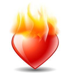 Burning heart Royalty Free Vector Image - VectorStock