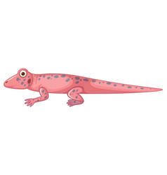 Pink lizard white background Royalty Free Vector Image