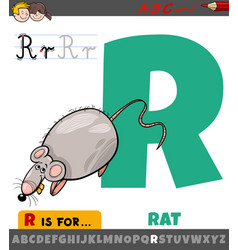 Rat r letter cute children animal alphabet in Vector Image