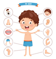 Cartoon character Royalty Free Vector Image - VectorStock