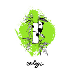 Ecopanda Royalty Free Vector Image - VectorStock