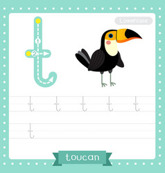 Letter t uppercase and lowercase tracing practice Vector Image