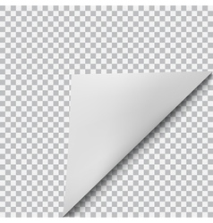 Curved corner paper Royalty Free Vector Image - VectorStock