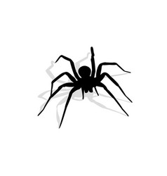 Cartoon funny spider on white background Vector Image