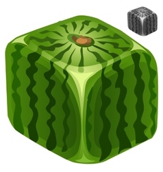 Ripe juicy delicious square watermelon Royalty Free Vector