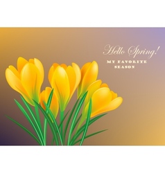 Spring flowers crocus natural background Vector Image
