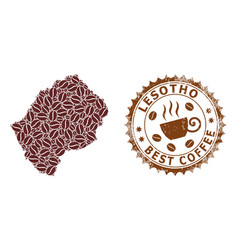Mosaic map lesotho with coffee beans and Vector Image