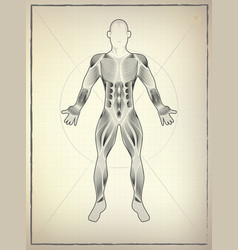 Human body parts Royalty Free Vector Image - VectorStock