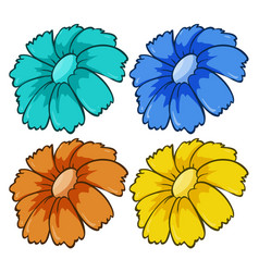 Hand holding colorful flowers on white background Vector Image