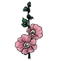 Mallow Royalty Free Vector Image - VectorStock