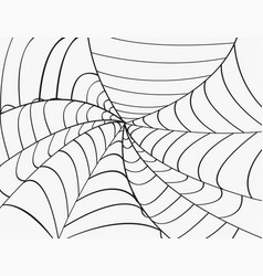 Spider and web Royalty Free Vector Image - VectorStock