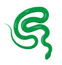 Smiling cartoon snake Royalty Free Vector Image