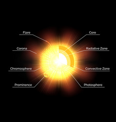 Solar system planets to scale size diagram Vector Image