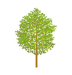 Tree forest Royalty Free Vector Image - VectorStock