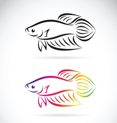 Fighting fish Royalty Free Vector Image - VectorStock