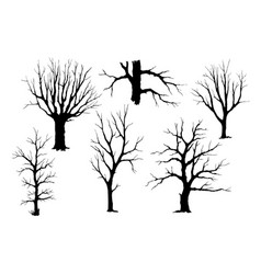 Trunks trees silhouette set Royalty Free Vector Image