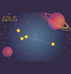 Constellation apus Royalty Free Vector Image - VectorStock