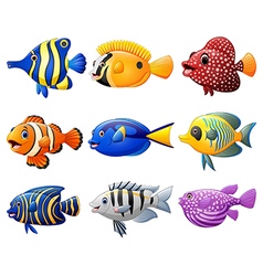 Fish cartoon set Royalty Free Vector Image - VectorStock
