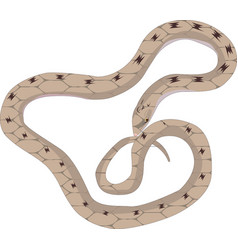 Bolava vitthal Royalty Free Vector Image - VectorStock