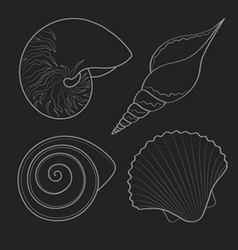 Set seashells outline Royalty Free Vector Image