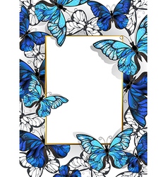 Rectangular banner with butterflies morpho Vector Image