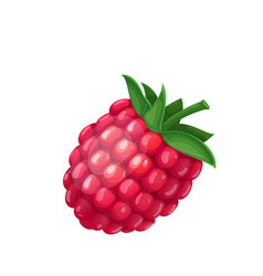 Raspberry berry cartoon Royalty Free Vector Image