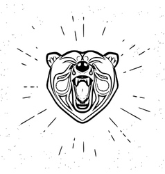 Head a ferocious grizzly bear Royalty Free Vector Image