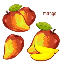 Apple isolated Royalty Free Vector Image - VectorStock