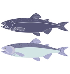 Salmon fish fresh seafood Royalty Free Vector Image