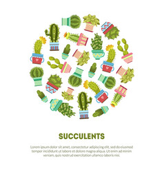 Watercolor banner cacti and succulent Royalty Free Vector