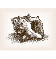 Sea shell Royalty Free Vector Image - VectorStock