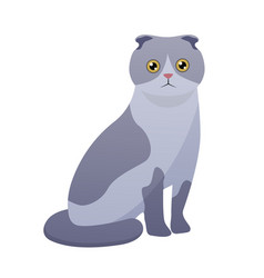 Cute cat cartoon walking Royalty Free Vector Image