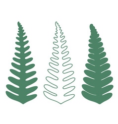 Fern Royalty Free Vector Image - VectorStock