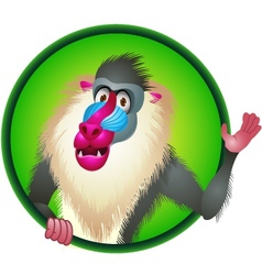 Safari animal cartoon Royalty Free Vector Image