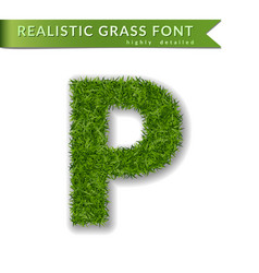 P Royalty Free Vector Image - VectorStock