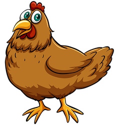 A spring chicken idiom Royalty Free Vector Image