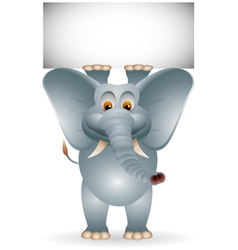 Funny elephant cartoon with blank sign Royalty Free Vector