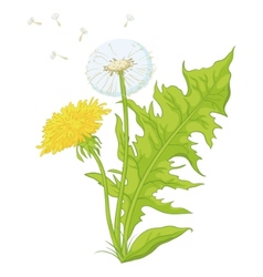 Hand drawn colorful flax flowers Royalty Free Vector Image