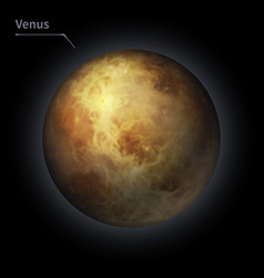 Venus realistic planet is isolated on the cosmic Vector Image